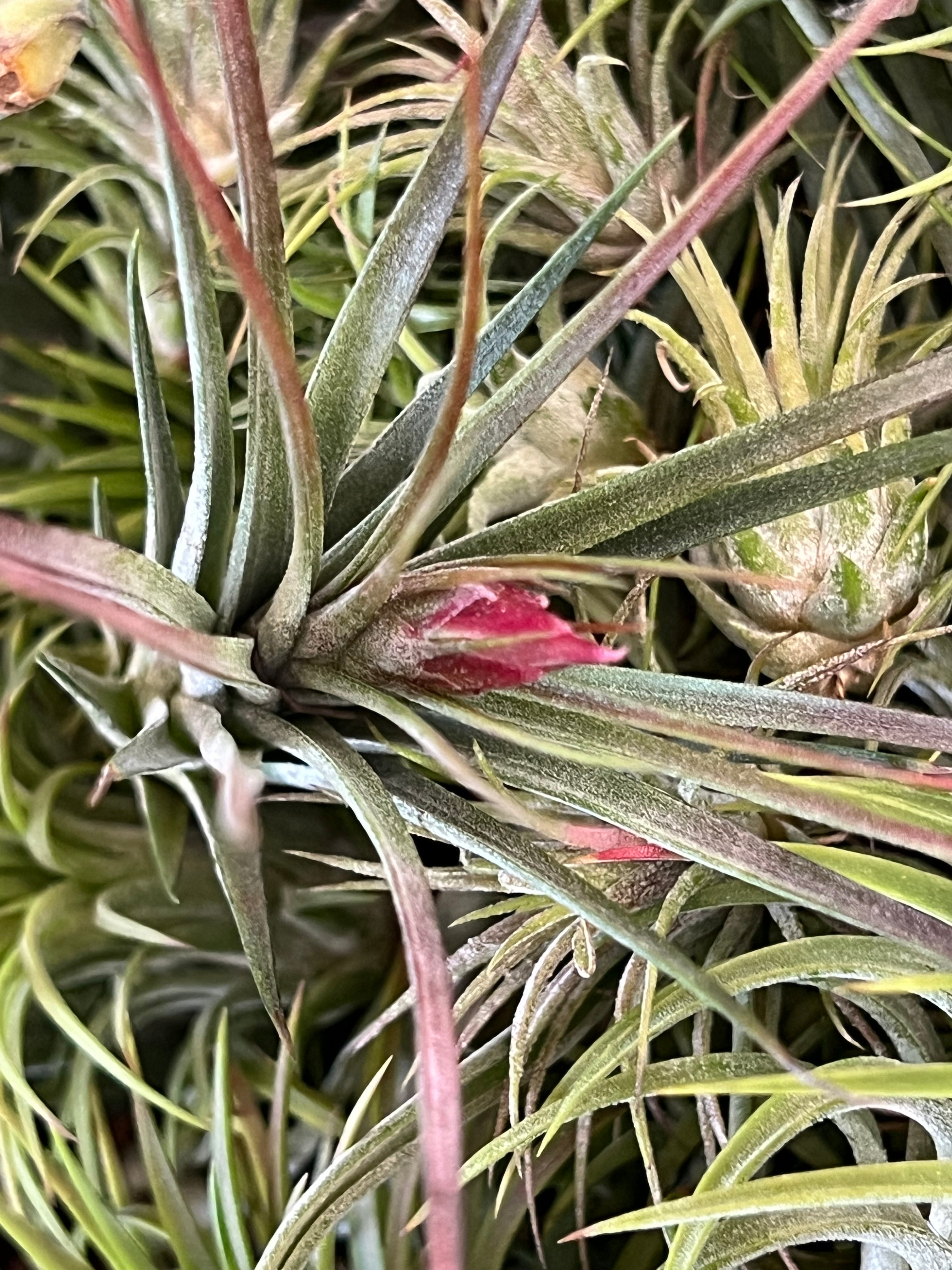 Upcoming Events – Valley View Ridge